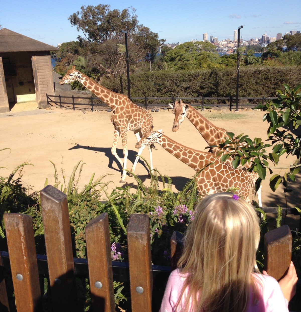 20 Experiences That Make Great Presents For Kids - Less Stuff More Fun ...