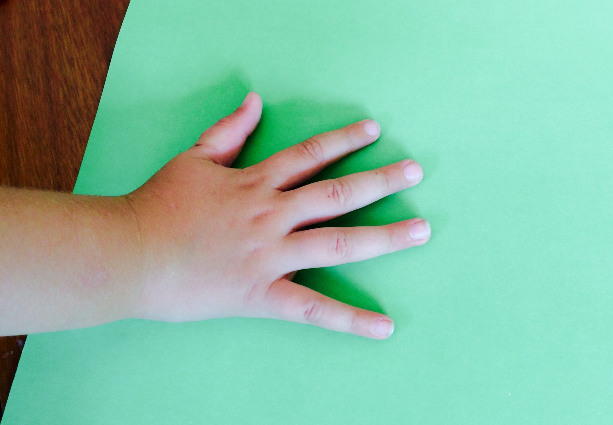 ANZAC Day Hand Tracing - School Mum